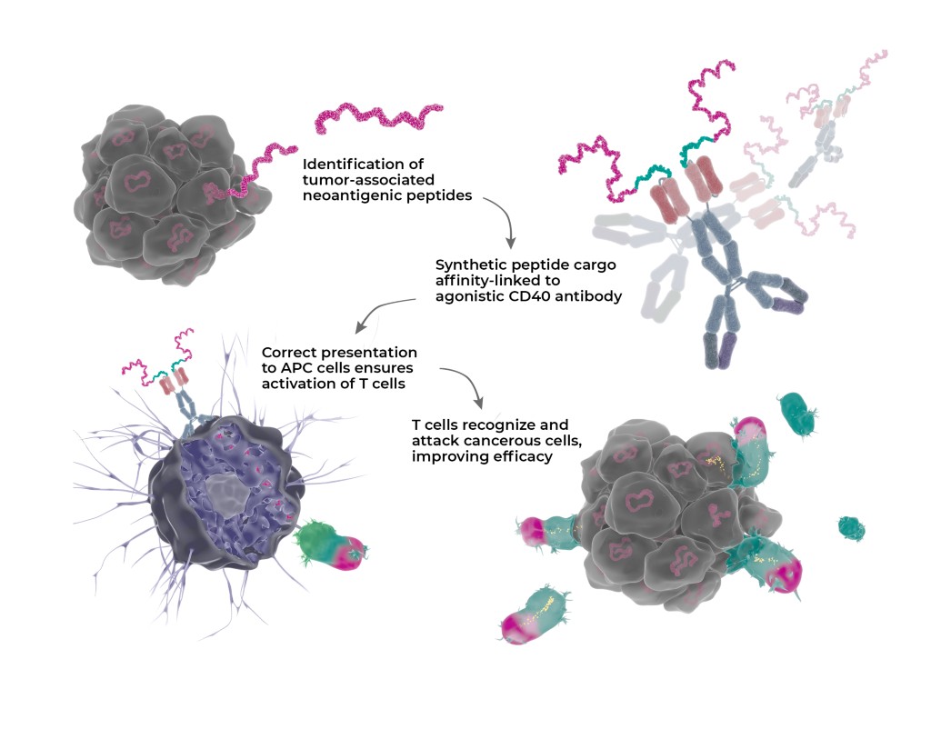 ADAC technology targeting CD40—the next step in personalized immunotherapy