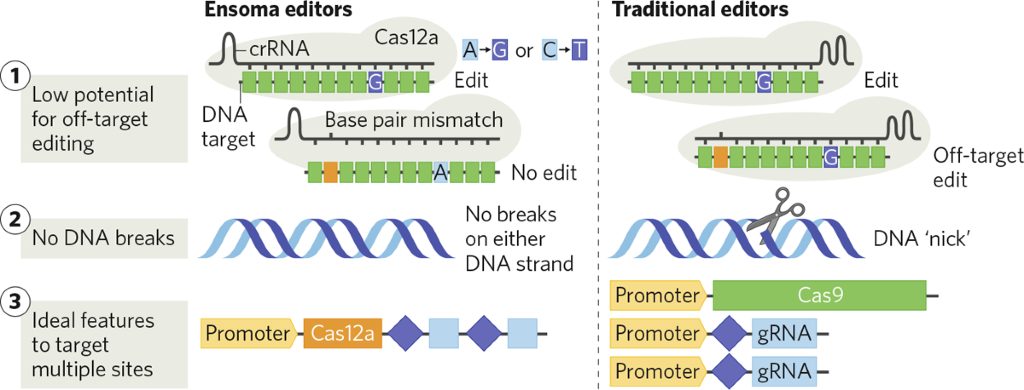 Precision CRISPR for in vivo genome engineering