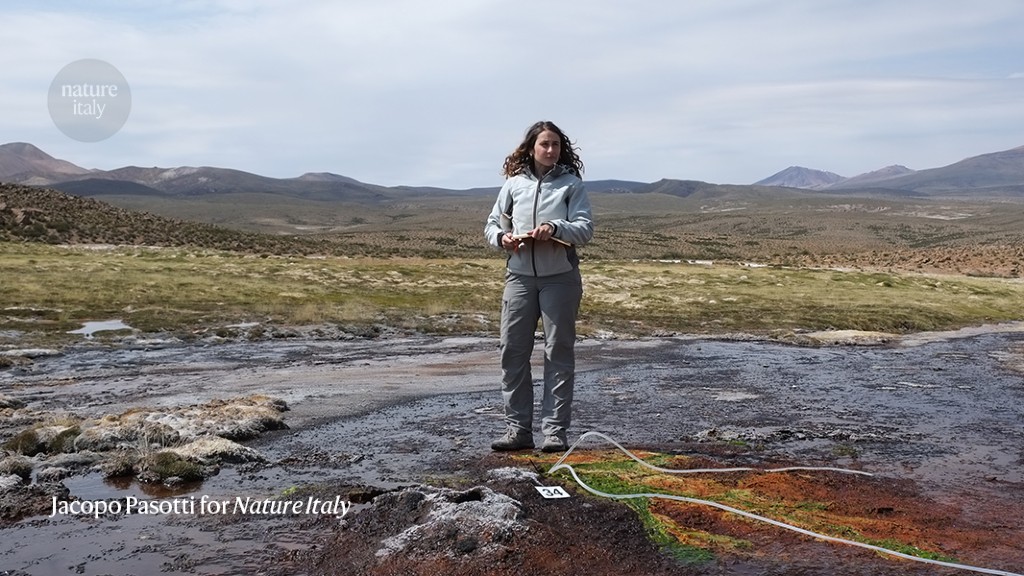 Climbing high and digging deep