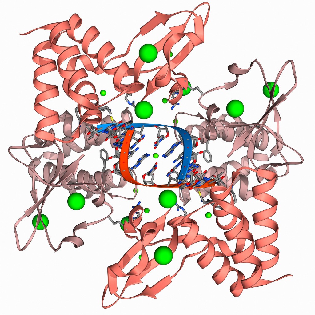 Genomic and epidemiologic surveillance could instruct future virus response