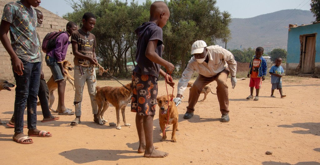 Push for better rabies vaccination efforts