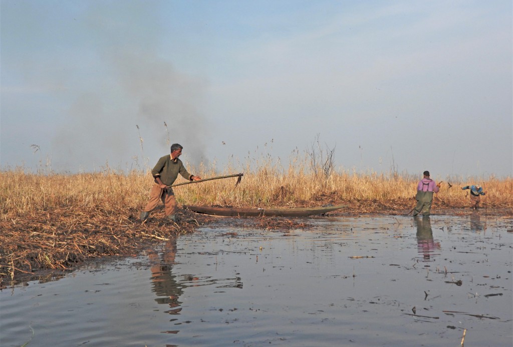 How locals helped save Kashmir’s Ramsar wetlands