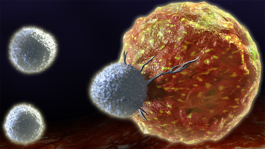 Antigen-specific T cells: A discovery tool for the development of ...