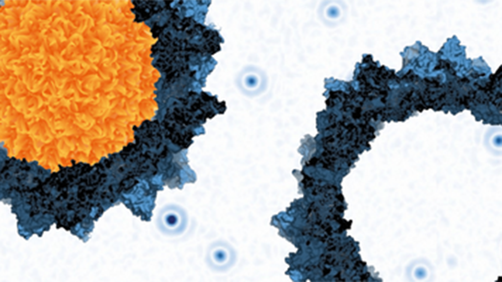 Assessing AAV production variability with single-particle mass analysis