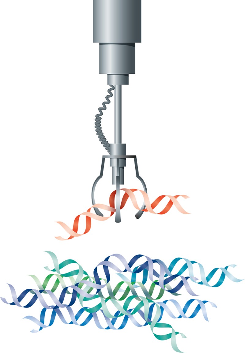 Prioritizing synthetic lethal targets with functional genomics