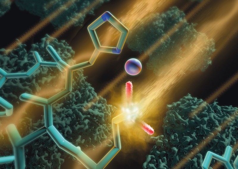 A probe for every protein