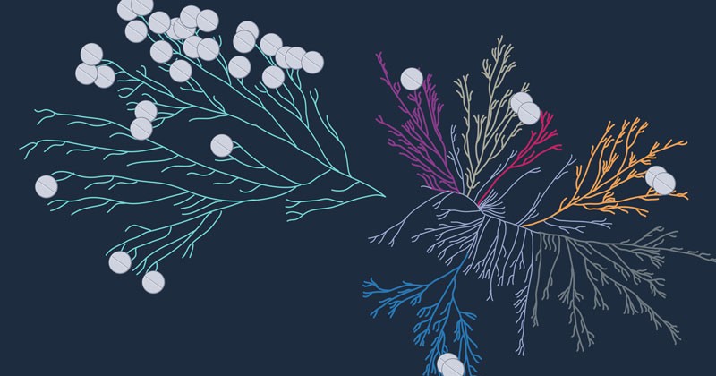 FDA approves 100th small-molecule kinase inhibitor