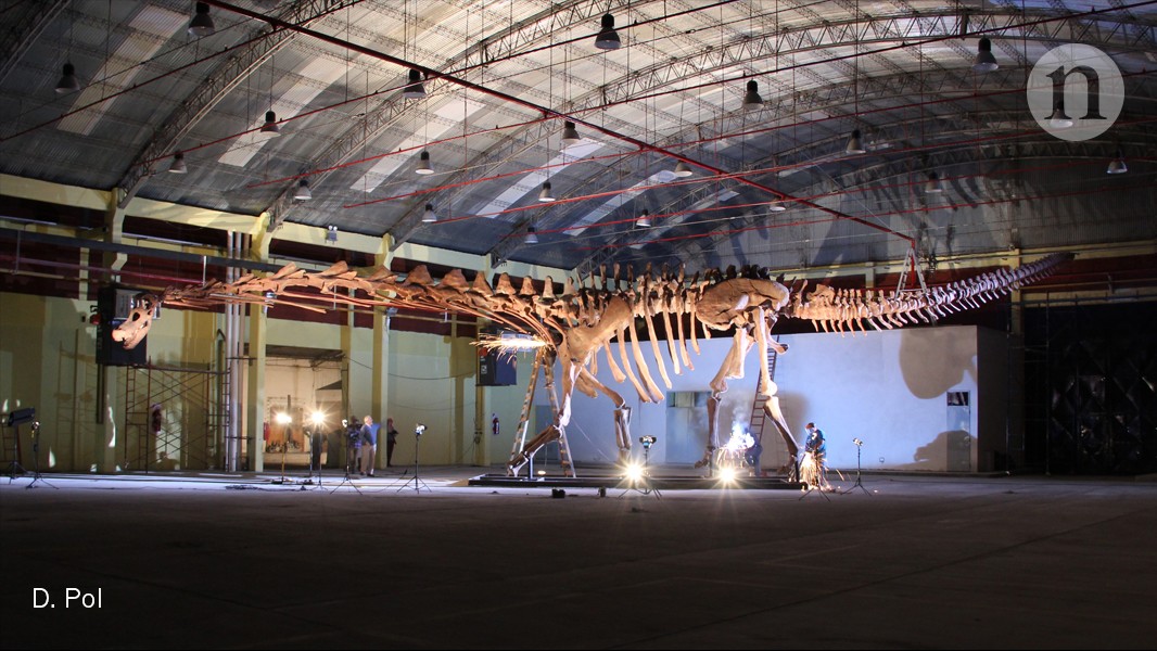 Patagonian titan is largest dinosaur ever seen