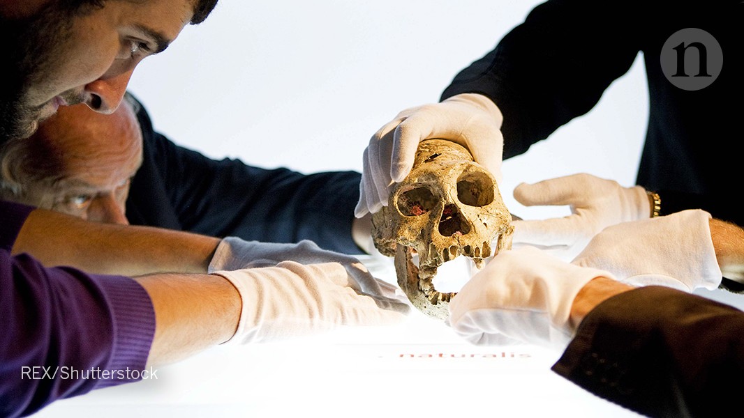 The past, present and future of human evolution