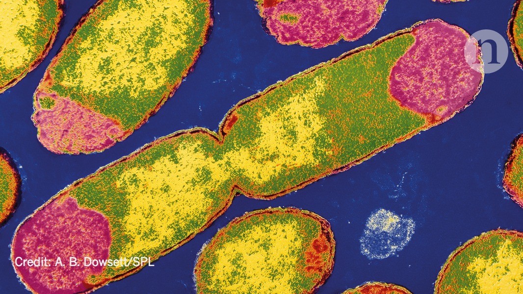 Four stories of antibacterial breakthroughs