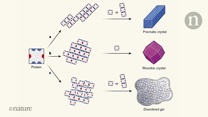 Observations of the birth of crystals