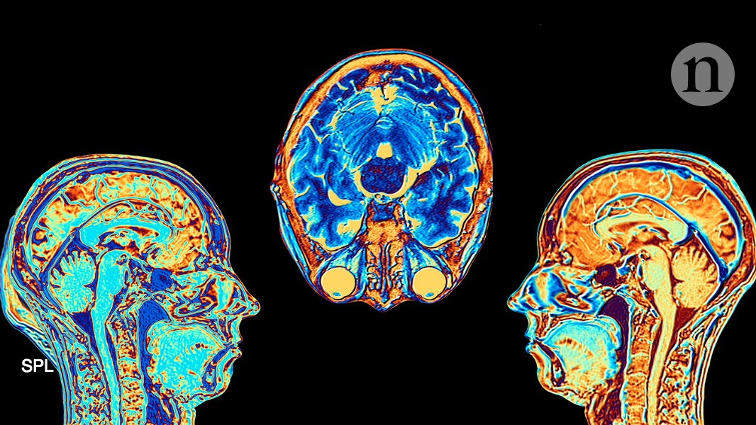 Beijing launches pioneering brain-science centre