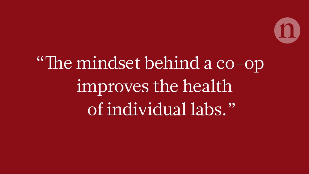 A lab co-op helps young faculty members to thrive