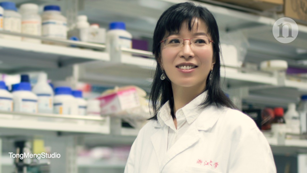 The zest of Zhejiang