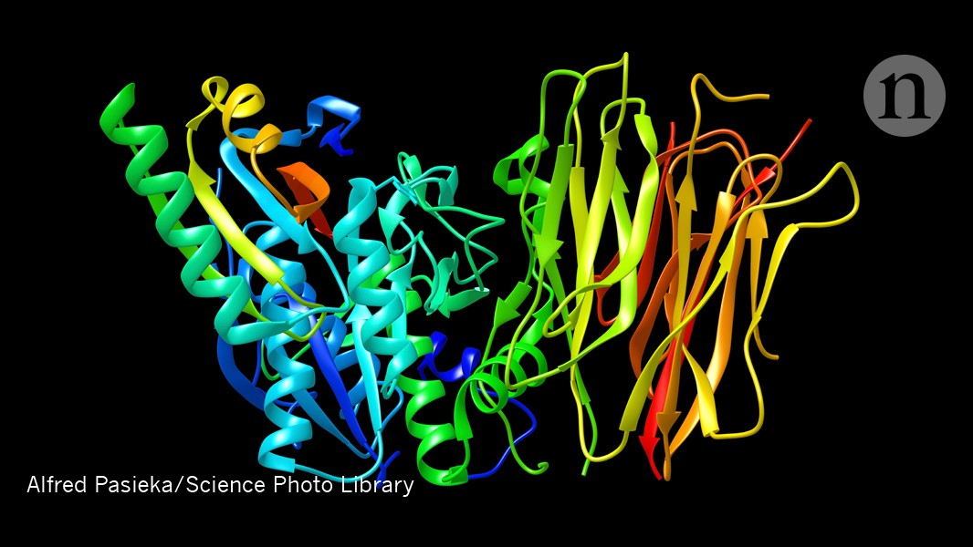 Rush to protect lucrative antibody patents kicks into gear