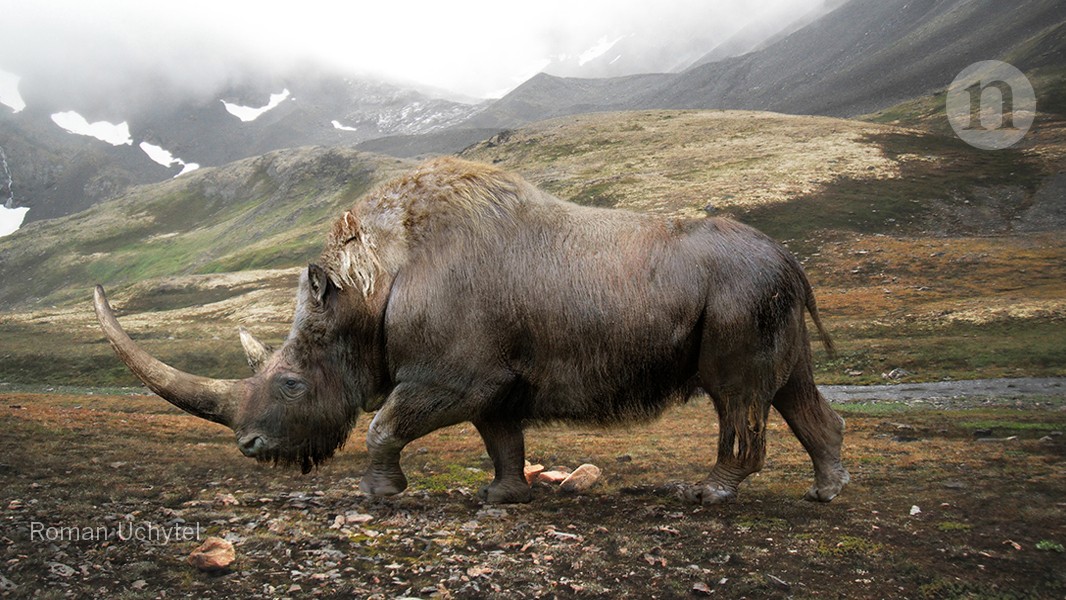 Big data little help in megafauna mysteries