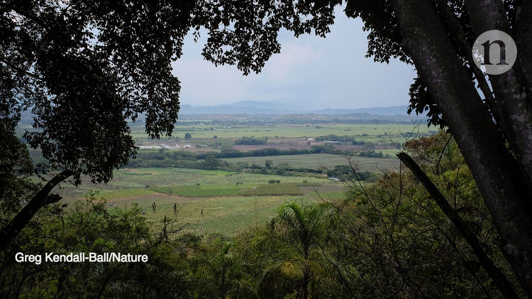 FARC and the forest: Peace is destroying Colombia’s jungle — and ...