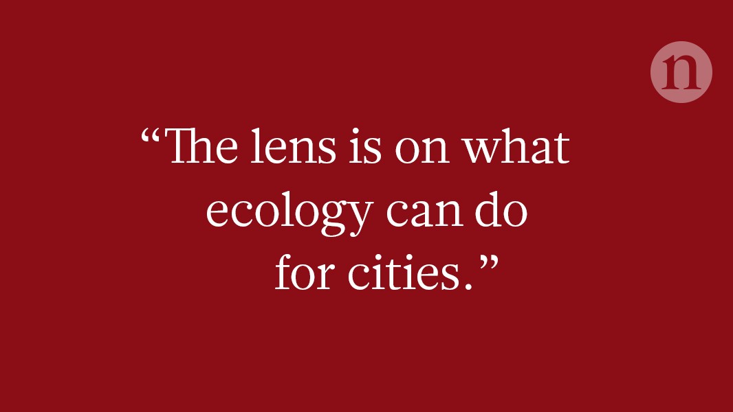 Advance the ecosystem approach in cities