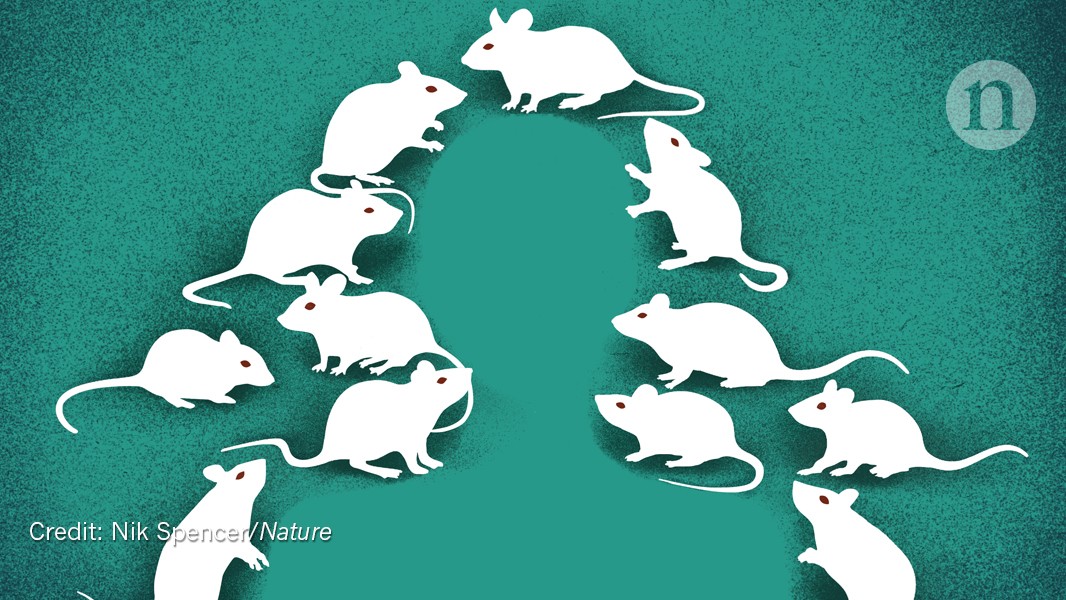 The mice with human tumours: Growing pains for a popular cancer model