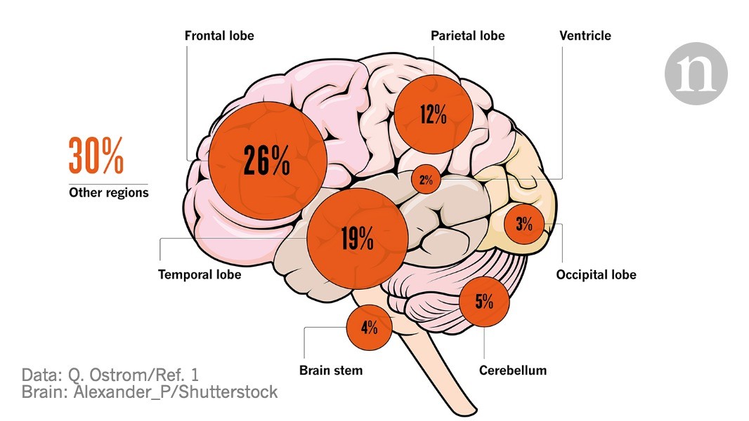 Breaking down the epidemiology of brain cancer