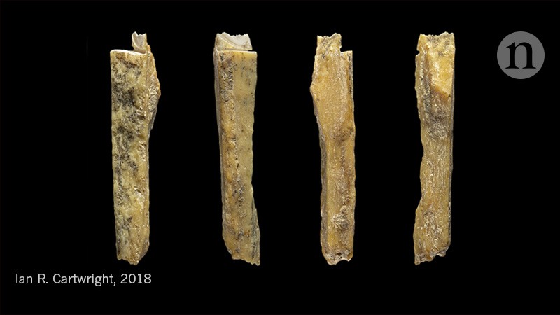 Denisovan hybrid cave yields four more hominin bones