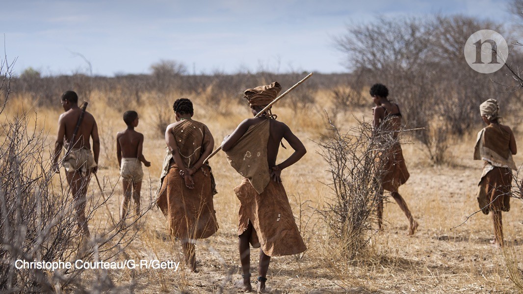 Rare genetic sequences illuminate early humans’ history in Africa