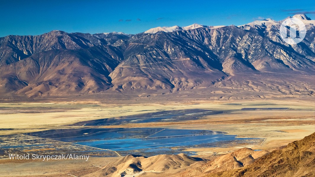 Lake Lazarus: the strange rebirth of a Californian ecosystem