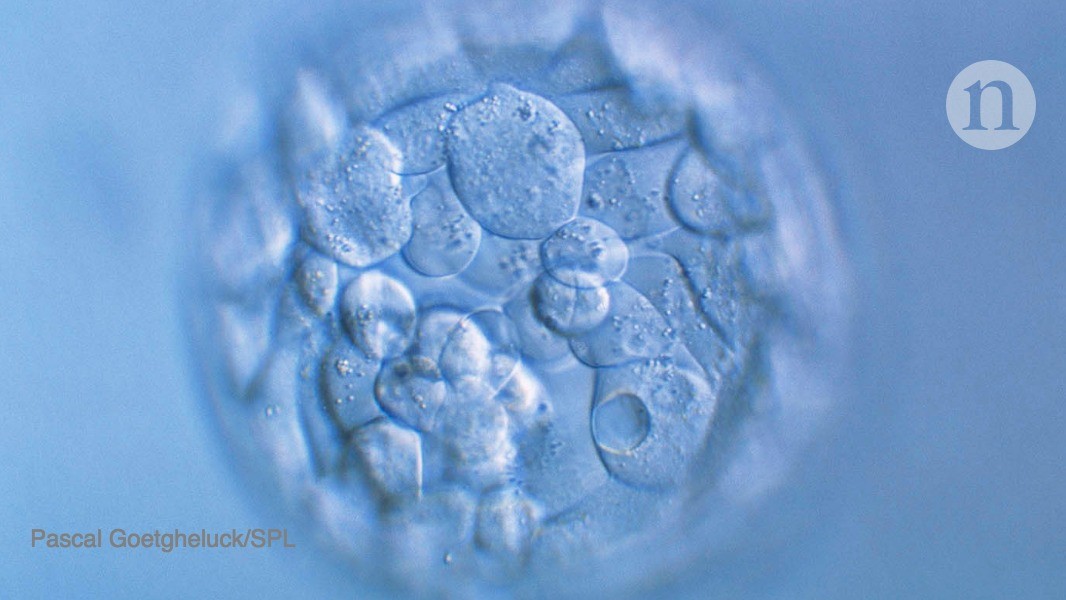 Genome-edited baby claim provokes international outcry