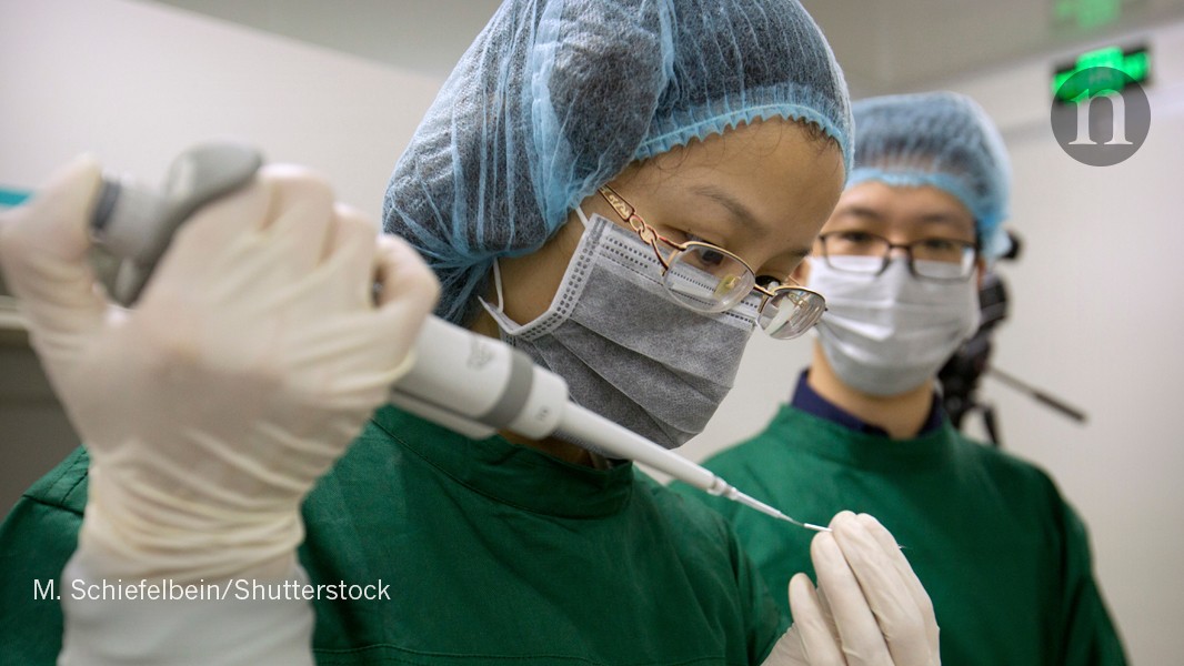 First CRISPR babies: six questions that remain