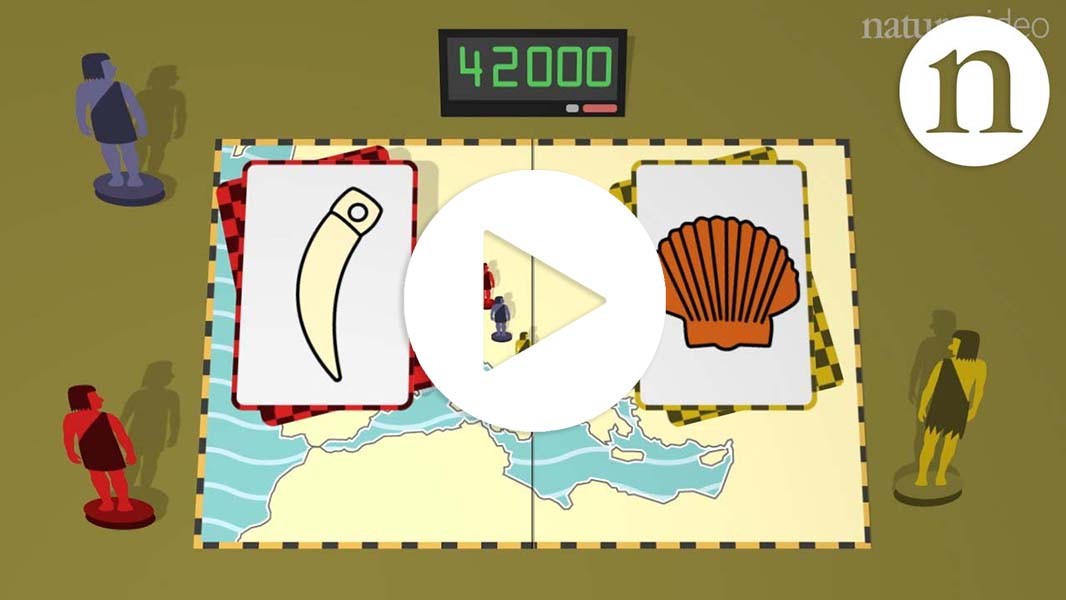 The Neanderthal survival game