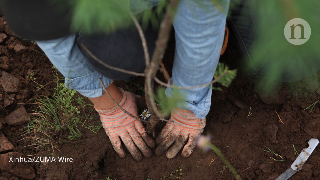 Earth’s green patches become greener — and China is leading the way