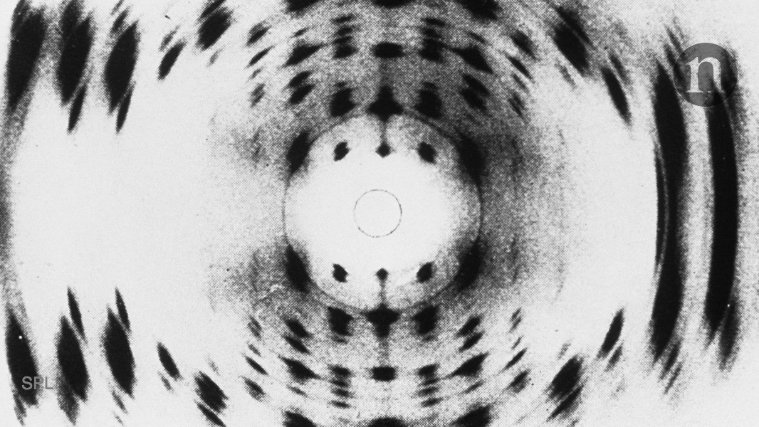 Four new DNA letters double life’s alphabet