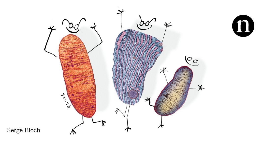 How secret conversations inside cells are transforming biology