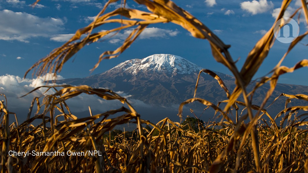 How climate and human activity shape a mountain ecosystem