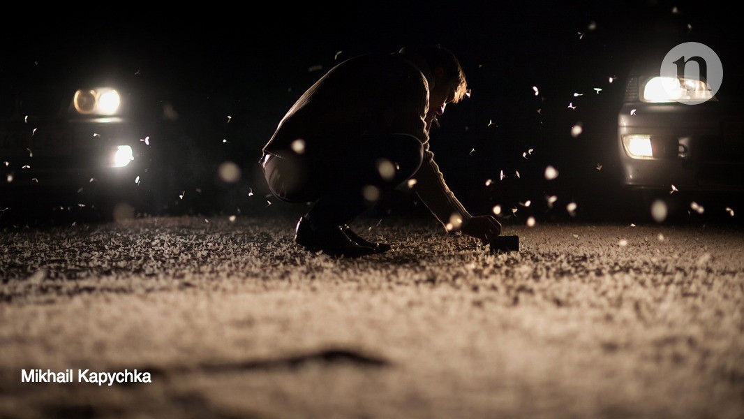 Mayfly invasion, ripples in the sky and a jumping squid: Nature’s photo ...
