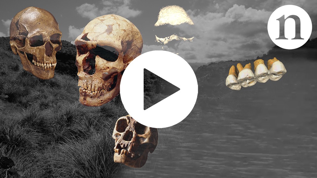 These bones belong to a new species of human