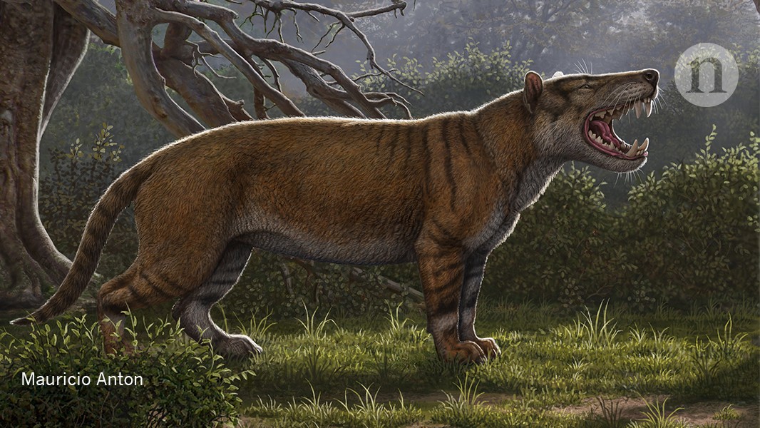 Fearsome ancient carnivore discovered after fossil lingered for decades ...