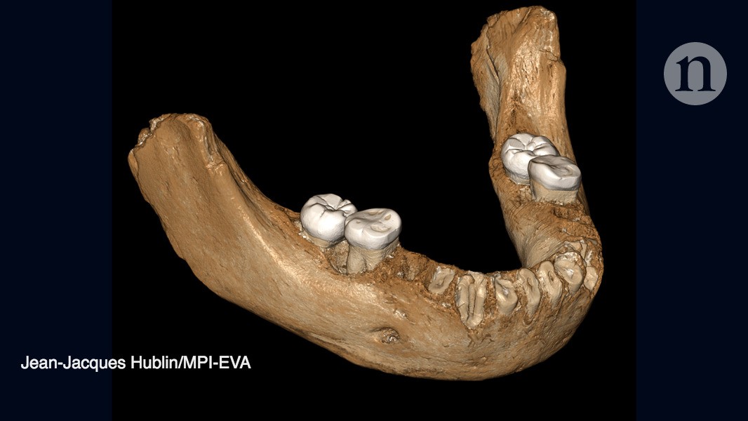 The mysterious Denisovans have at last come in from the cold