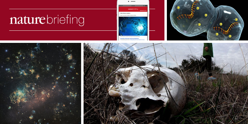 Daily briefing: Formatting tips to smooth the review process for your paper