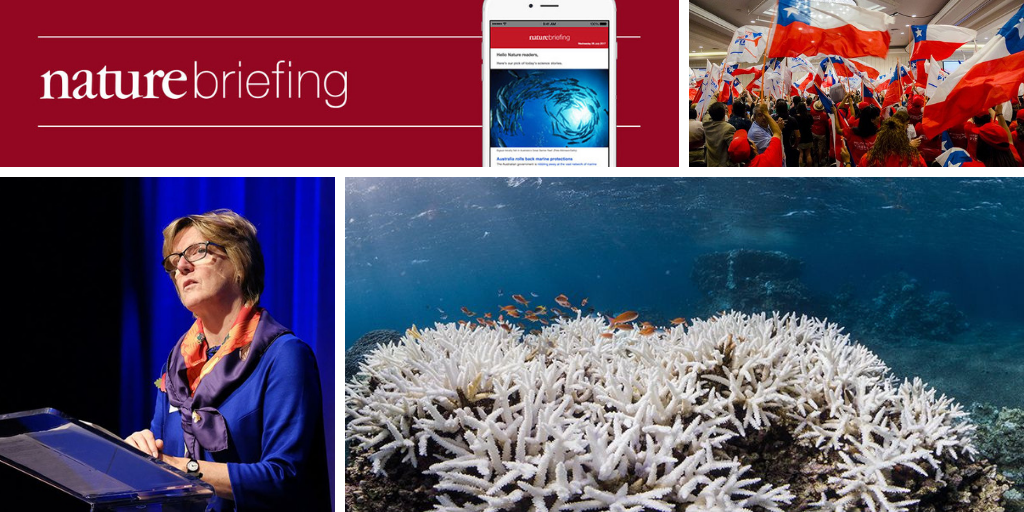 Daily briefing: A crisis for life on Earth