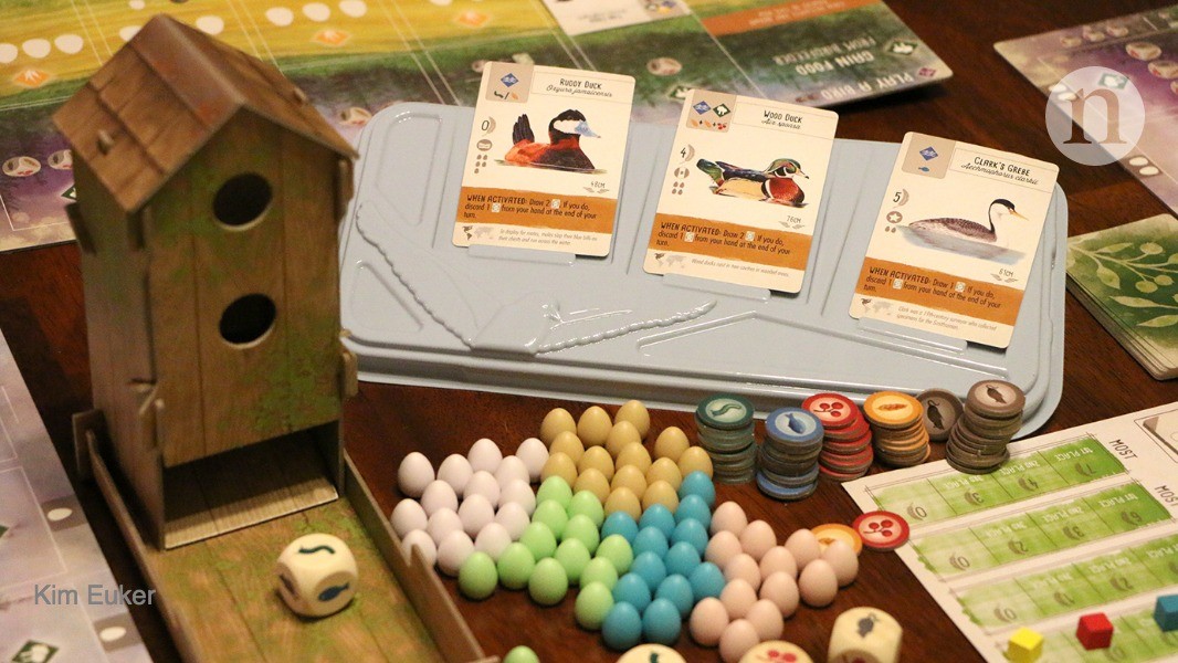 A bird-based game takes wing