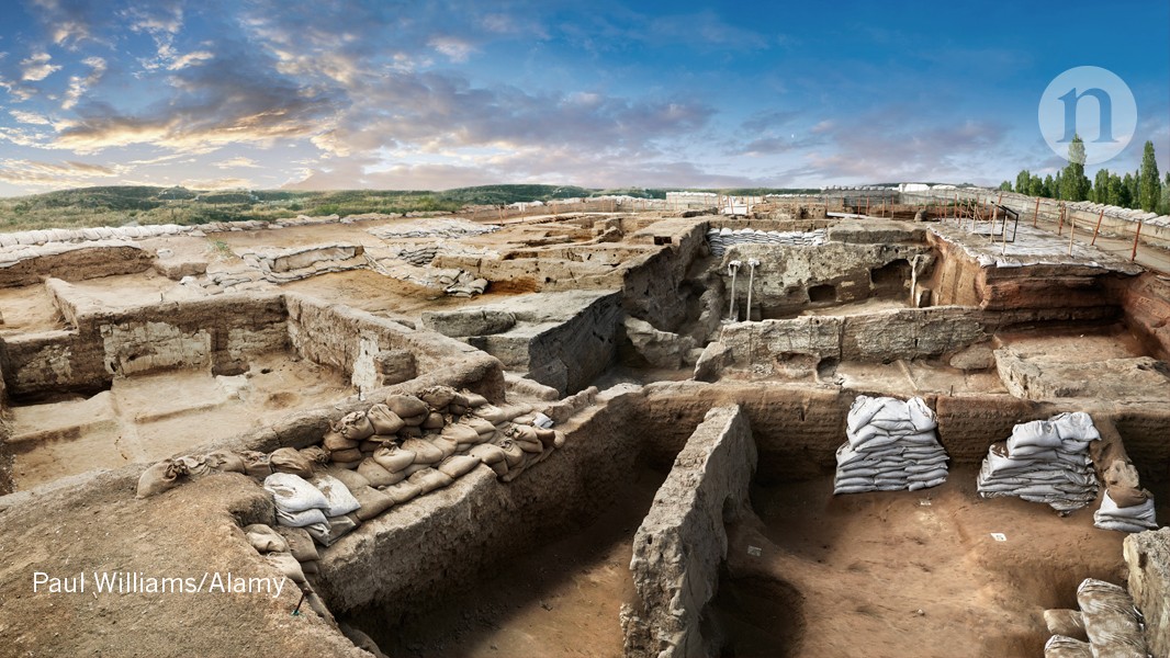 Ancient poos show intestinal benefits of life in a crowded town