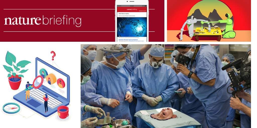 Daily briefing: Stunning science images shortlisted for the Wellcome ...