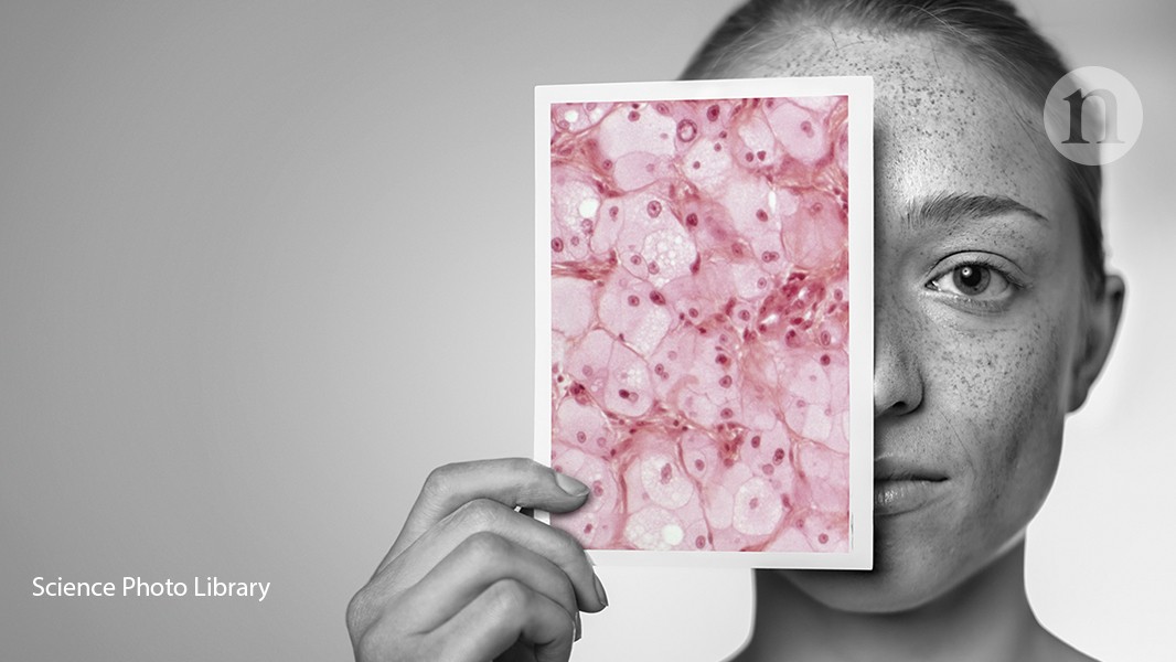 The human body is a mosaic of different genomes