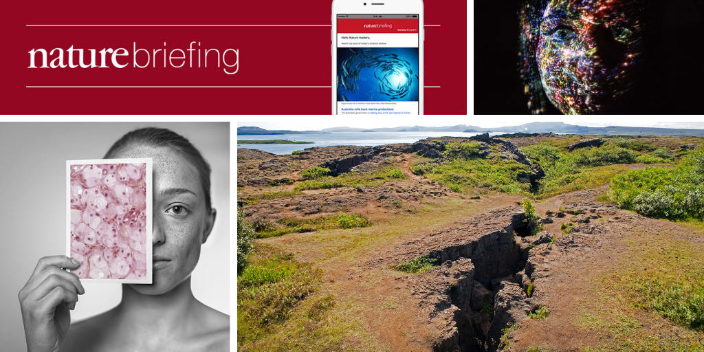 Daily briefing: medRxiv brings preprints to medical science