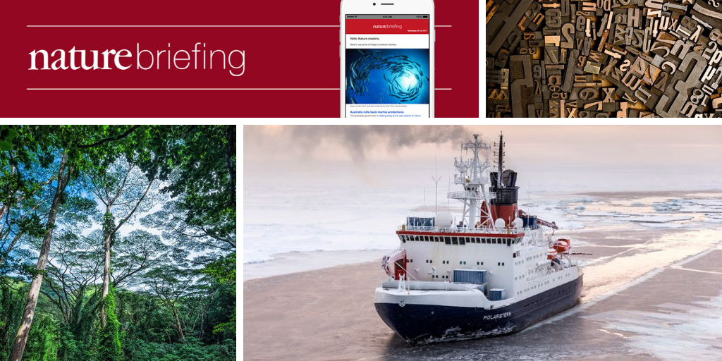 Daily briefing: Fertilize oceans or seed clouds? No one knows