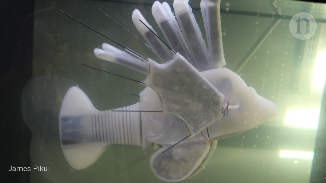Robo-fish powered by battery ‘blood’