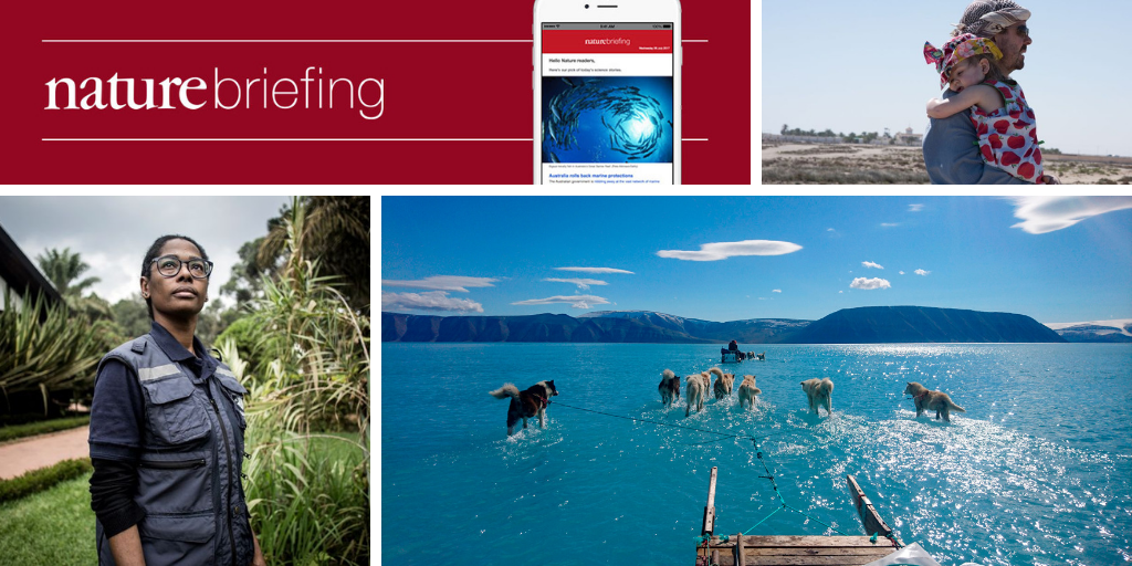 Daily briefing: The master genes that sculpt tentacles and legs alike