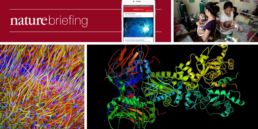 Daily briefing: India launches mission to land on the Moon