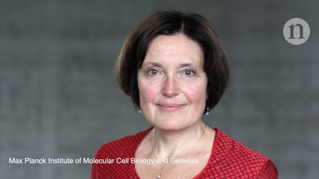 Tribute to Suzanne Eaton, from her lab members